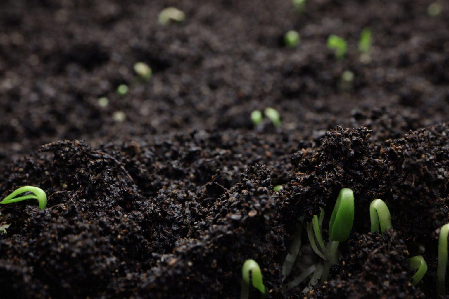 Ecozyme - Activating Nature at Scale
